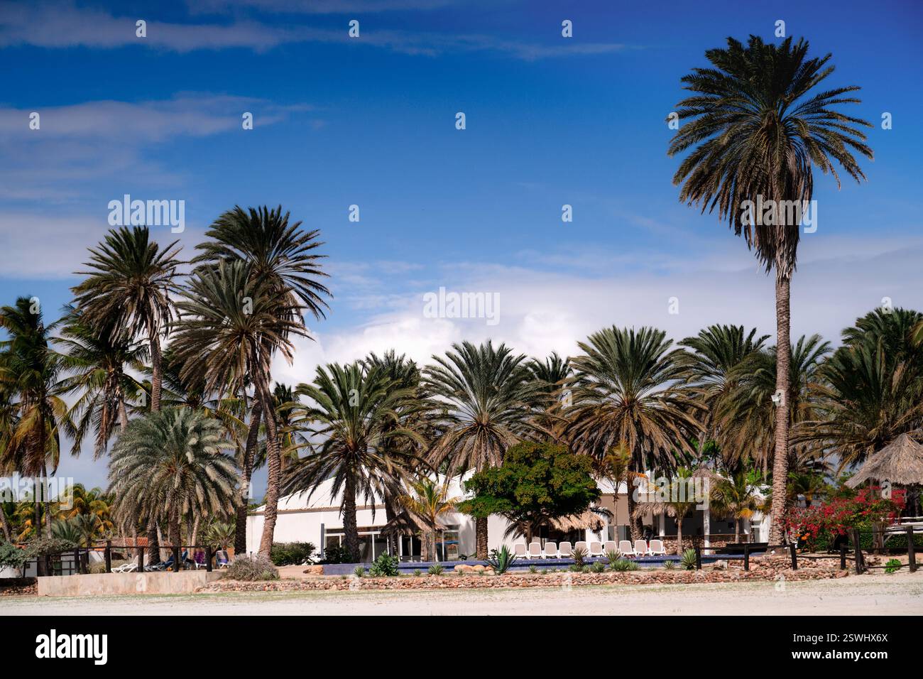 Coche Island, Venezuela. A paradise on the Caribbean Sea. Tropical ...