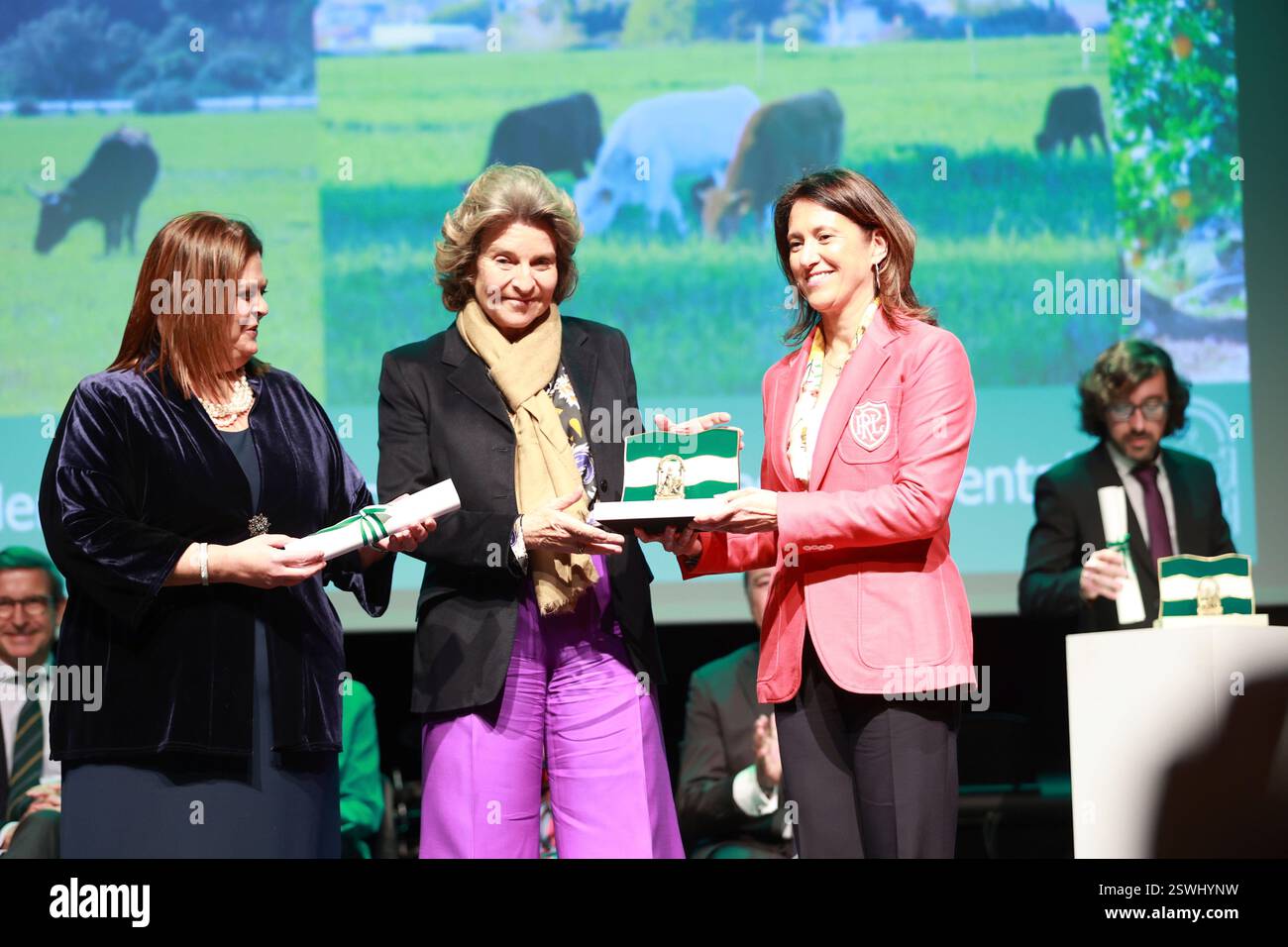 Awardees at the 'Bandera de Andalucía' Award Ceremony. On February 21 ...