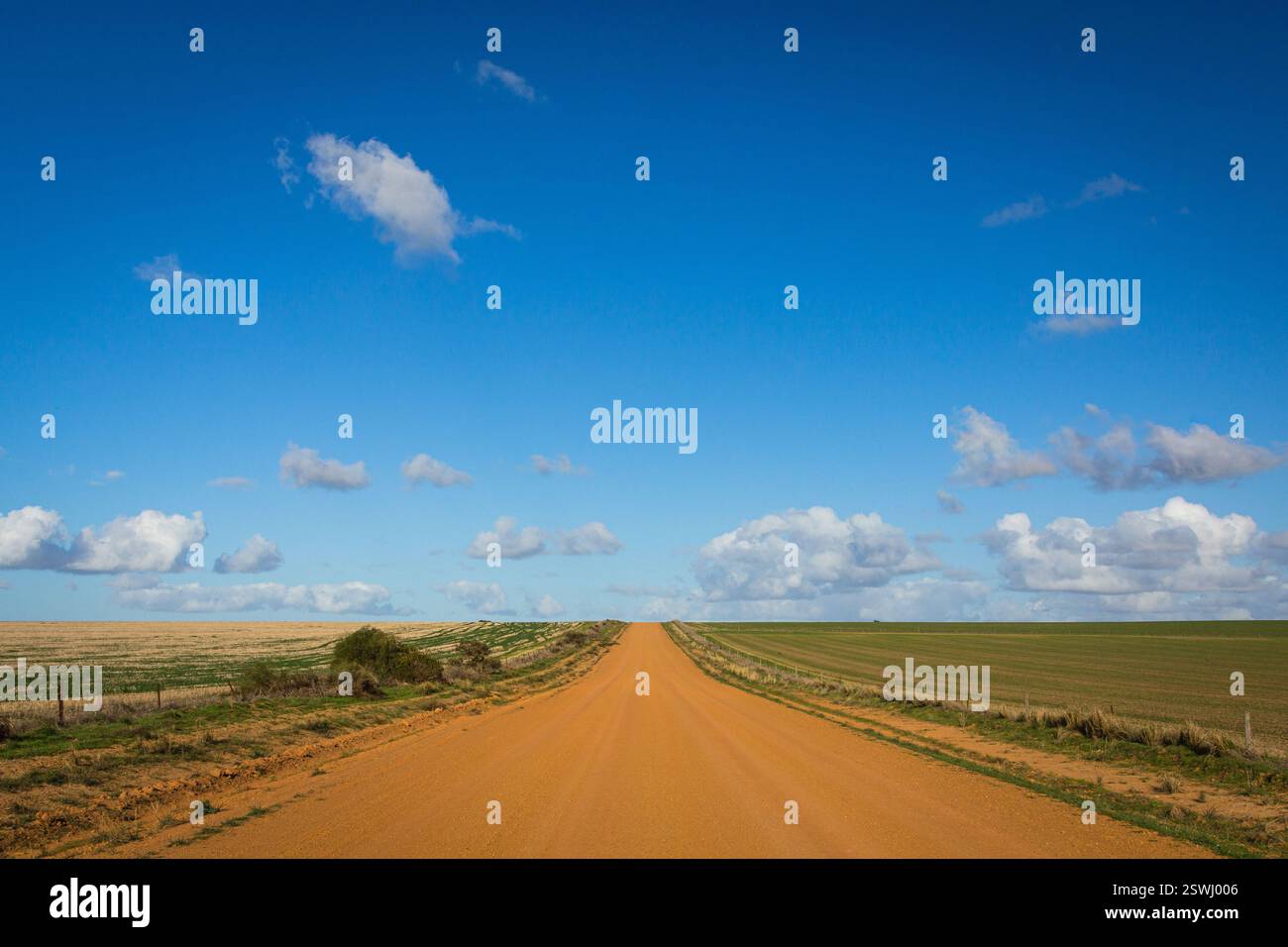 A vast wheat field and a single road in the Principality of Hutt River ...