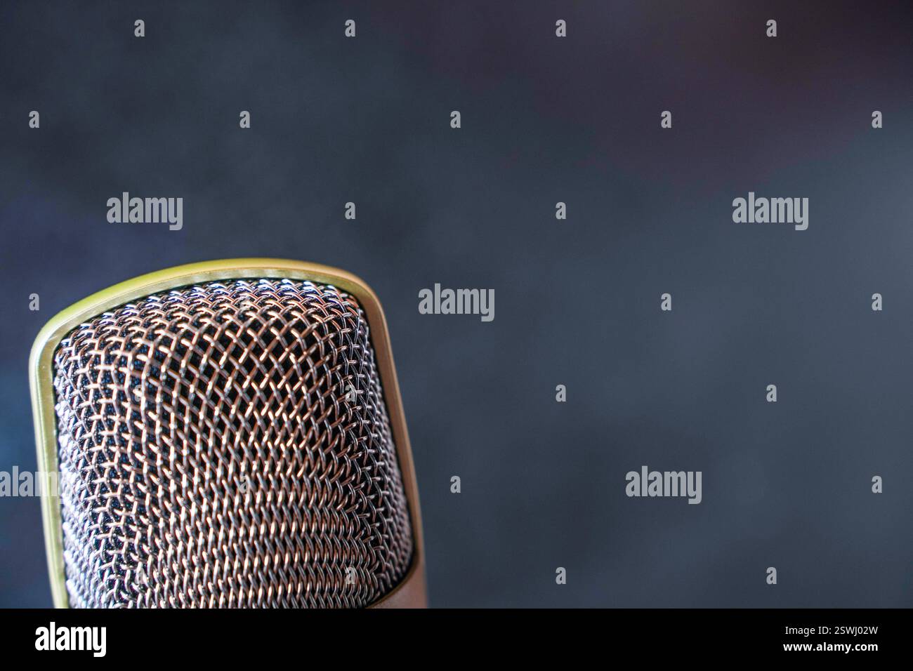 Close-up of a detail of a condenser microphone capsule Stock Photo - Alamy