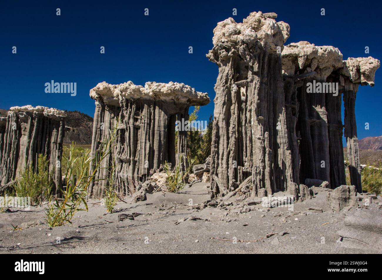 Rocky hillside with a few small trees and a few large rocks. The rocks ...