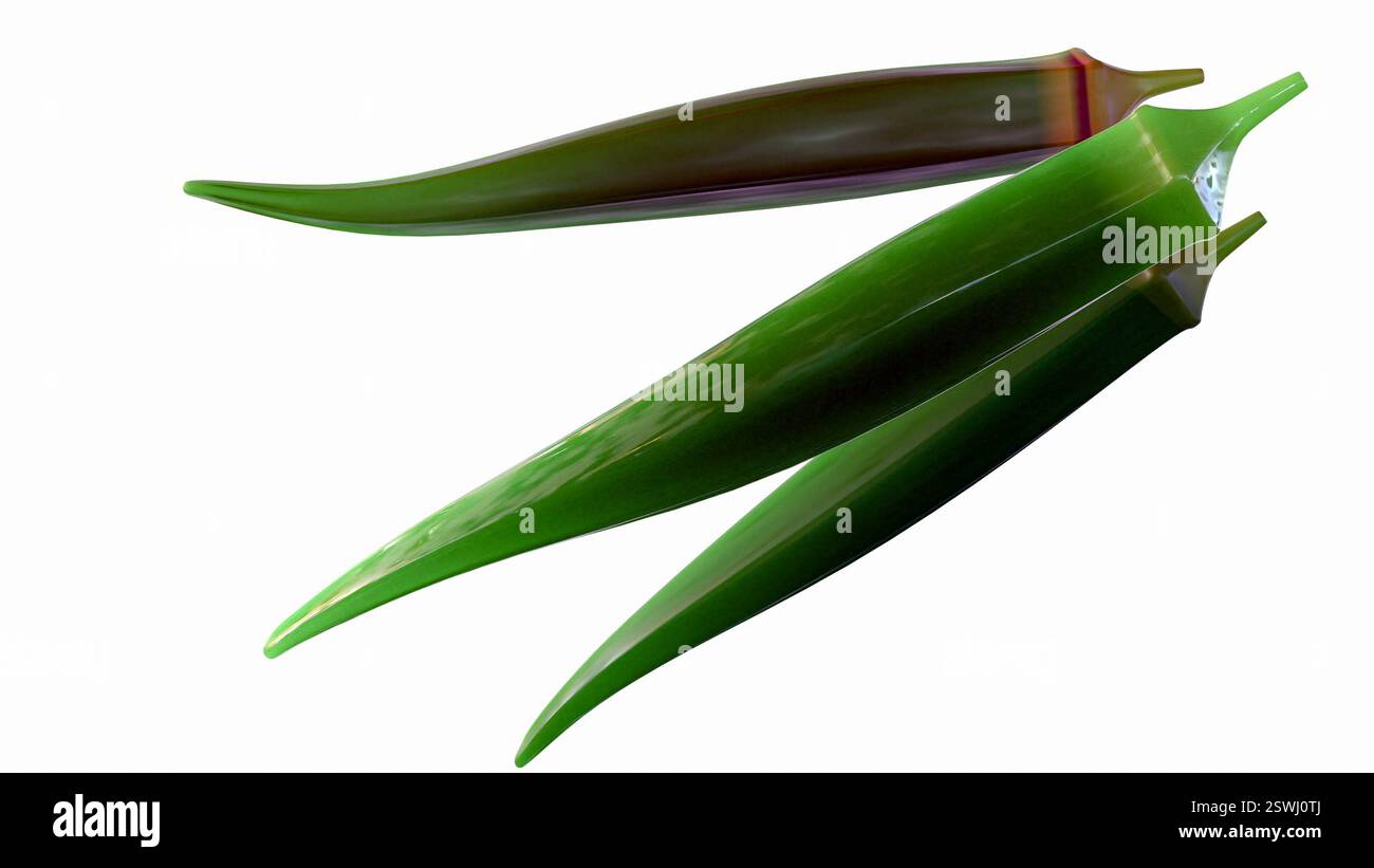 A 3d rendering of close-up, stylized depiction of okra pods, the beauty ...