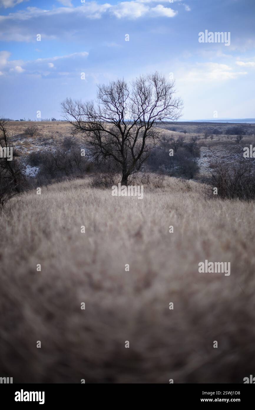 Sad atmosphere hi-res stock photography and images - Alamy