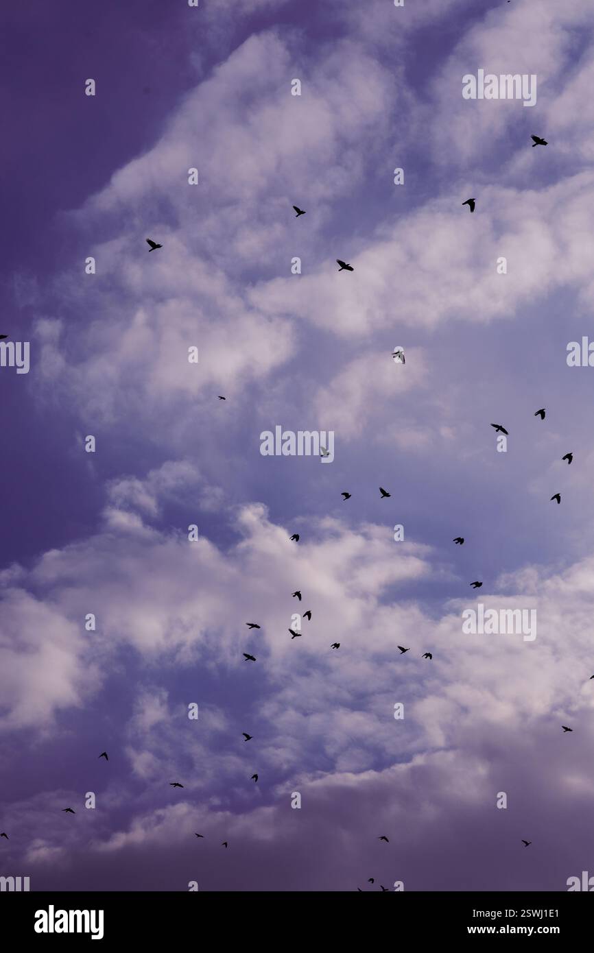 An epic and beautiful sky, the glory of nature Stock Photo - Alamy