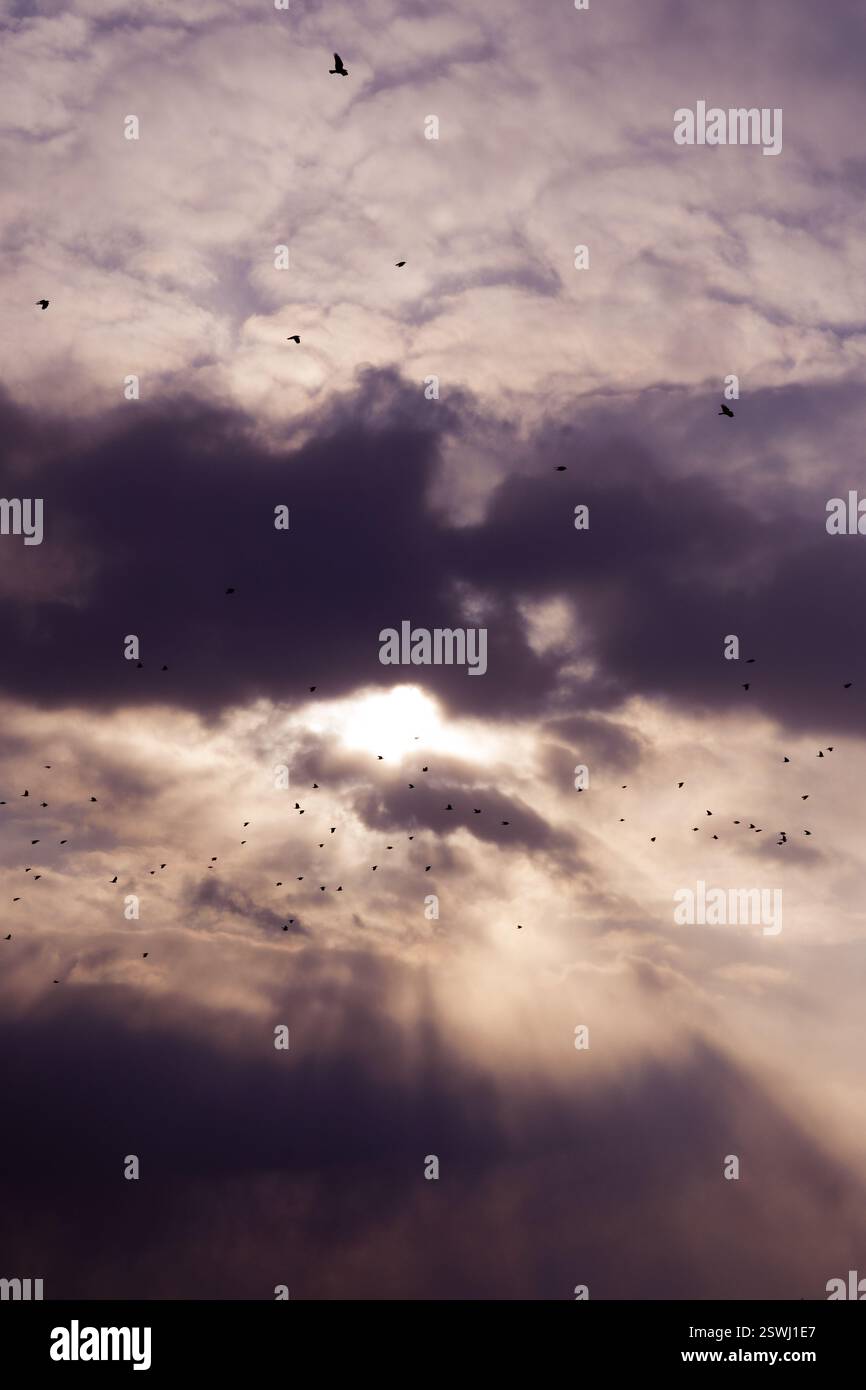 An epic and beautiful sky, the glory of nature Stock Photo - Alamy