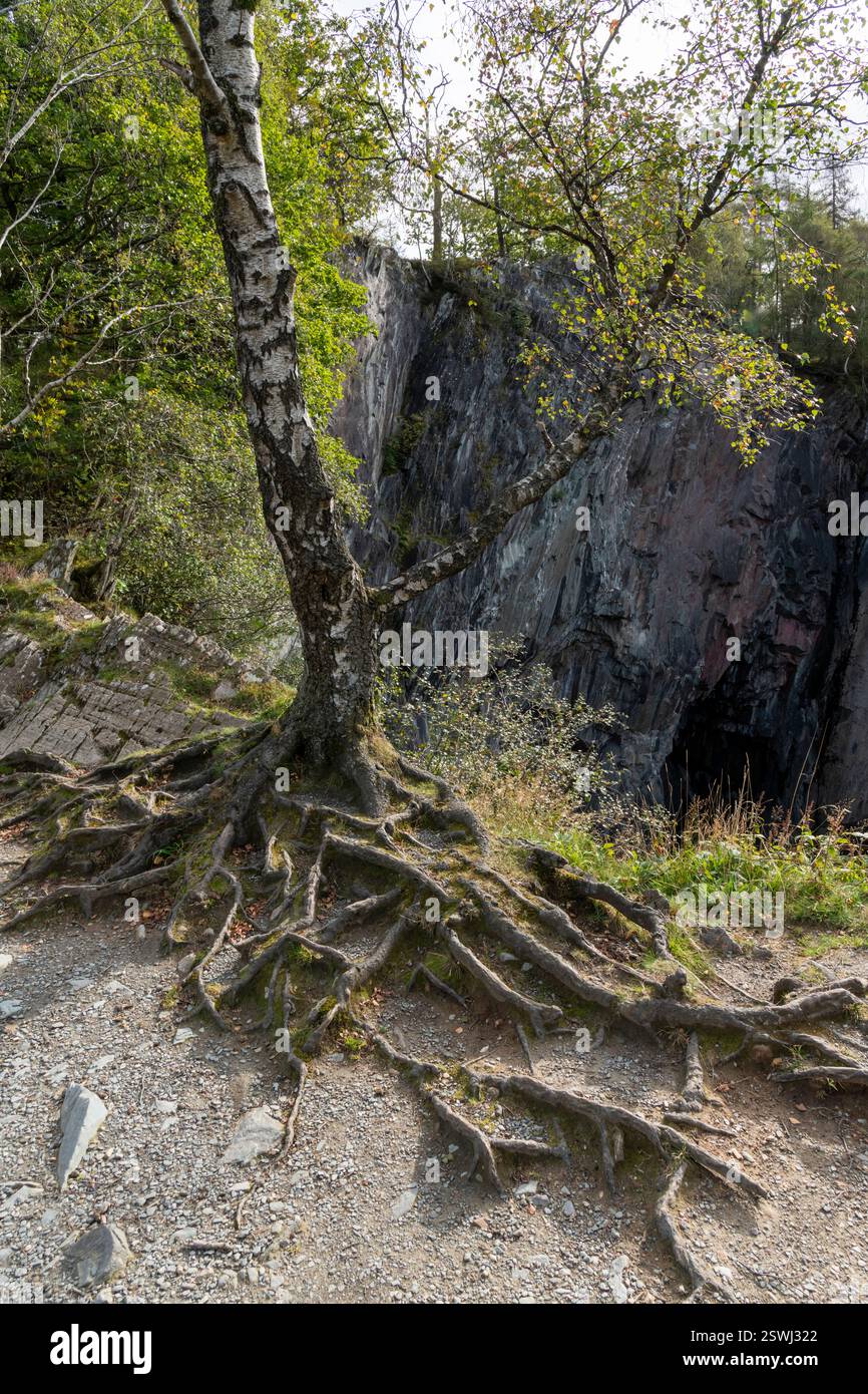 Hodge Close quarry near Coniston in the Lake District national park ...