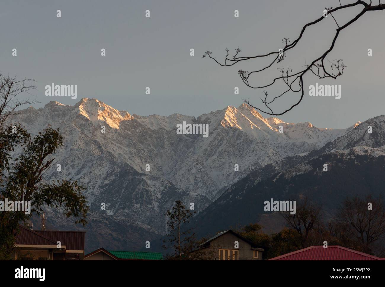 Palampur 111 jpg hi-res stock photography and images - Alamy