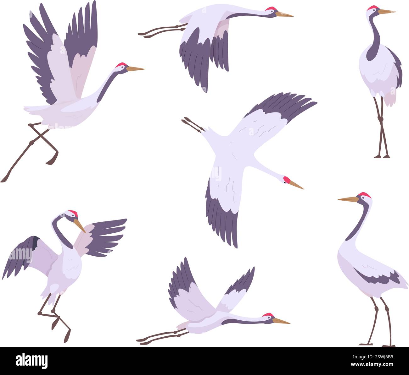 Crane birds. Wildlife flying beauty stork in action elegant poses exact ...
