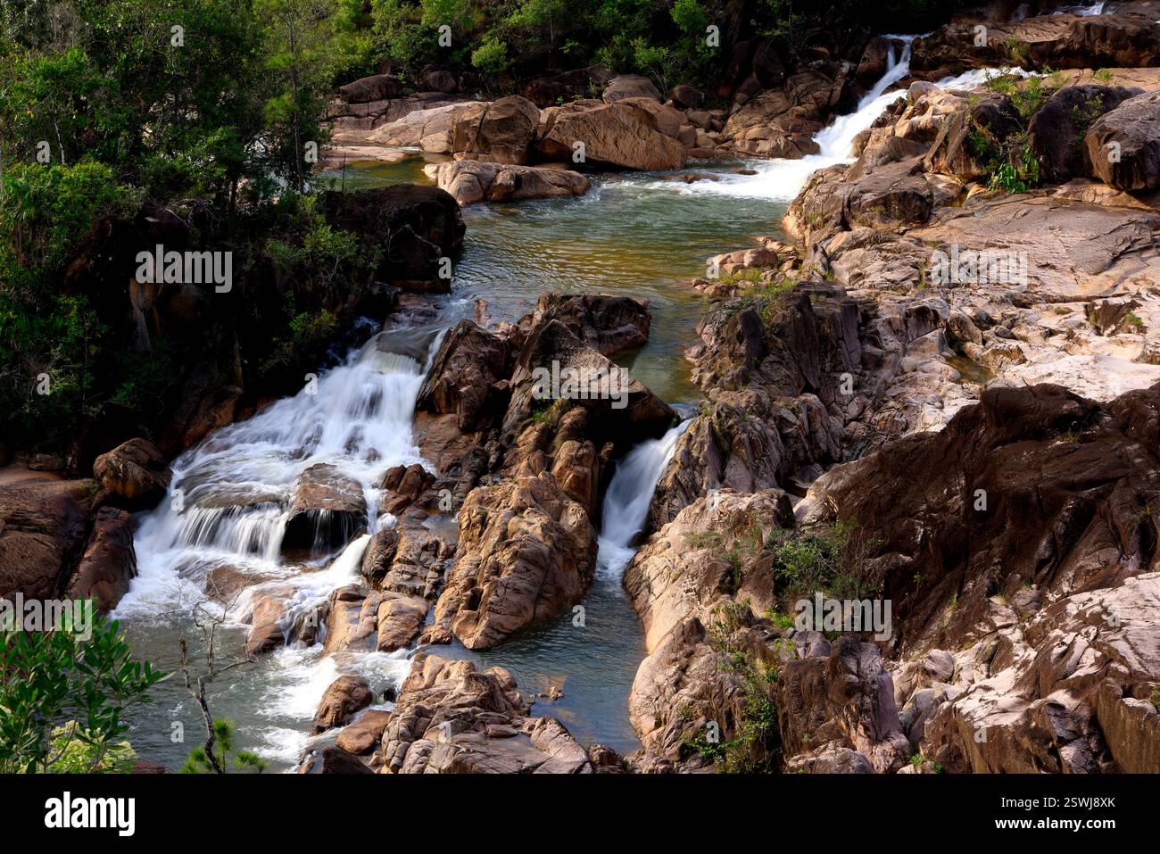 Panoramic view of waterfalls in Mountain Pine Ridge Forest Reserve ...