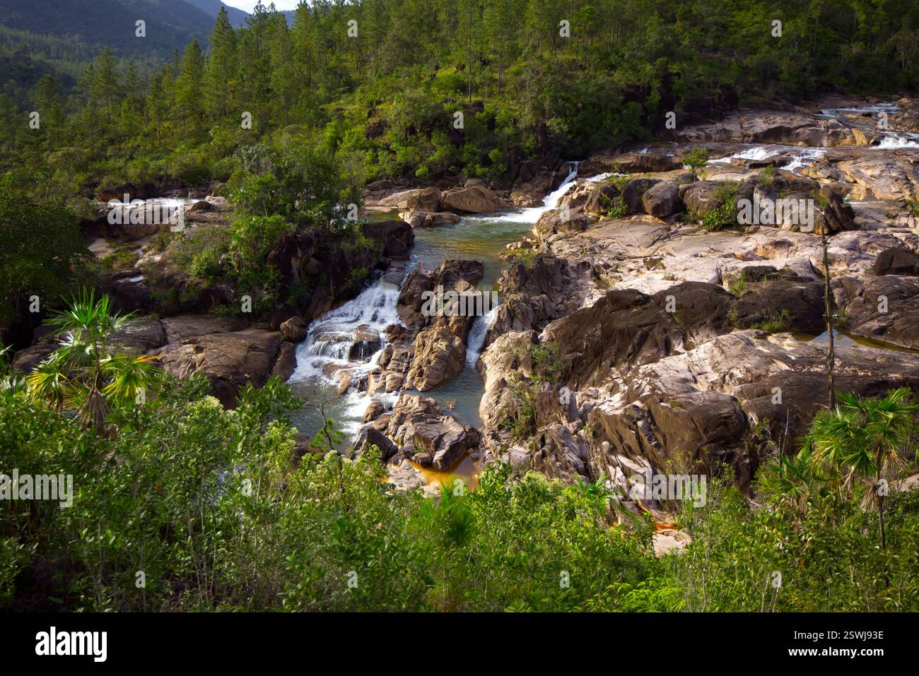 Panoramic view of waterfalls in Mountain Pine Ridge Forest Reserve ...