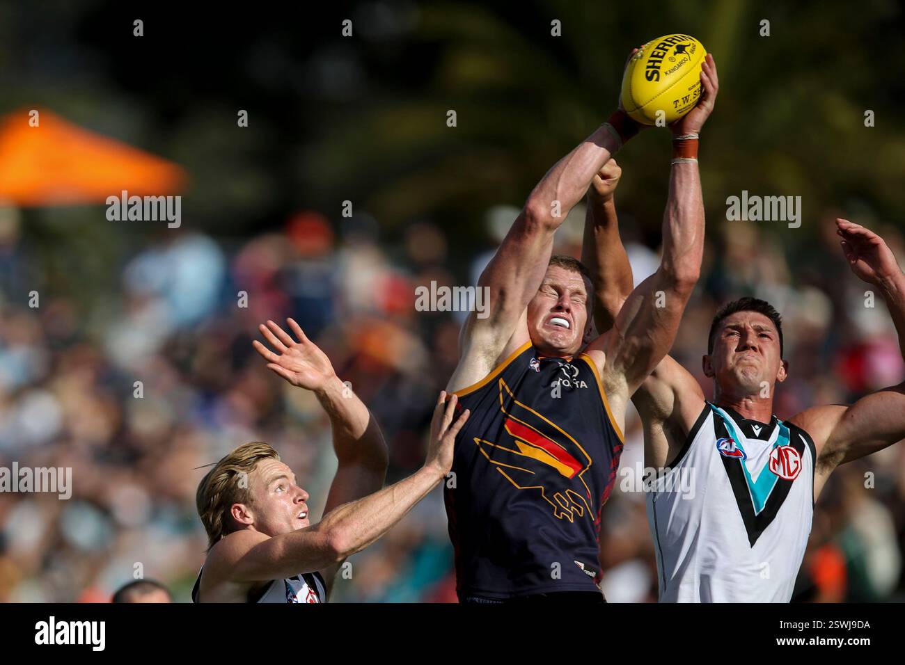 Mount Barker, Australia. 21st Feb, 2025. Reilly O'Brien of the Crows ...