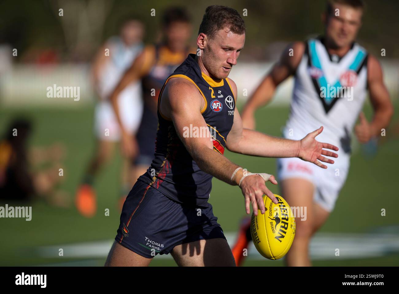 Mount Barker, Australia. 21st Feb, 2025. Rory Laird of the Crows during ...