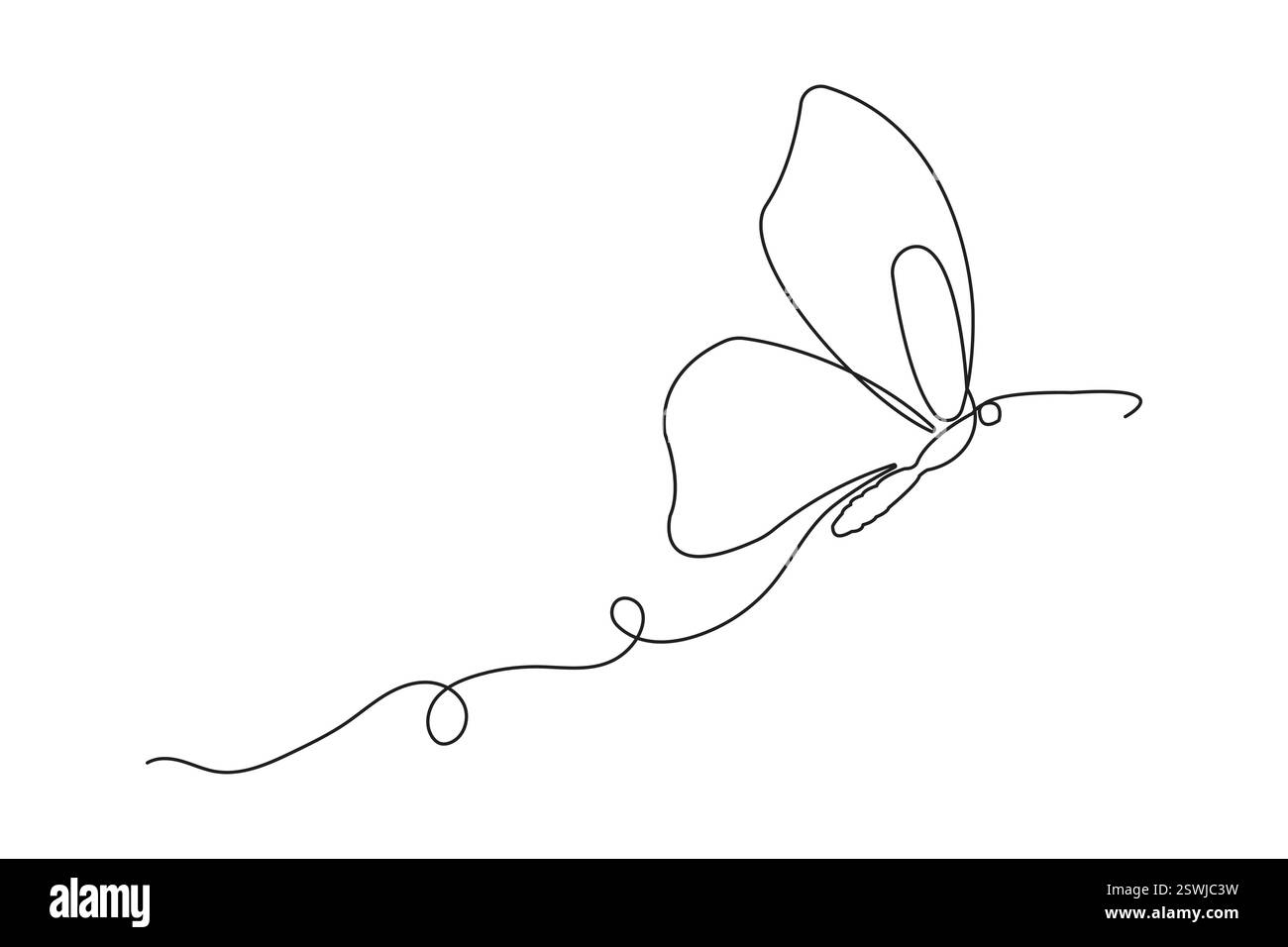 Abstract butterfly vector art isolated on white background Stock Vector ...