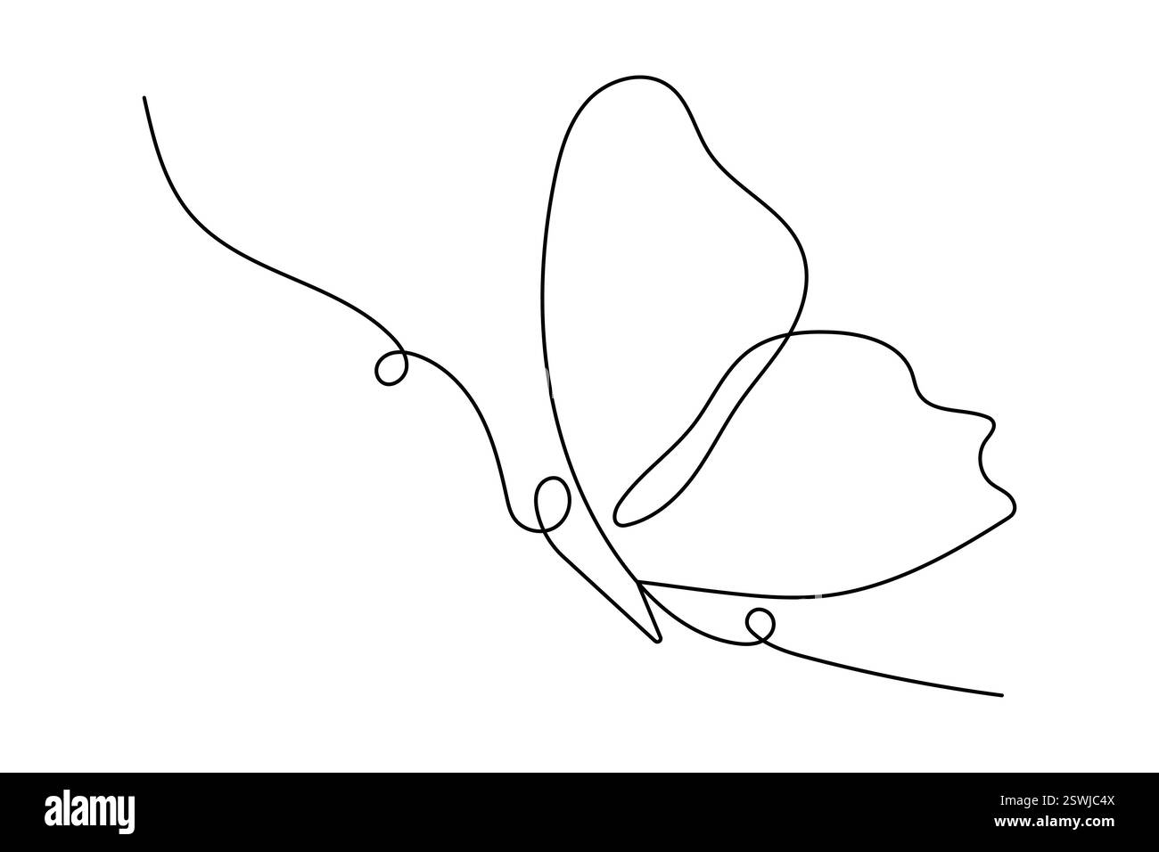 Abstract butterfly vector art isolated on white background Stock Vector ...