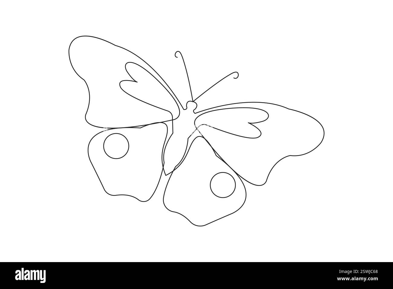 Abstract butterfly vector art isolated on white background Stock Vector ...