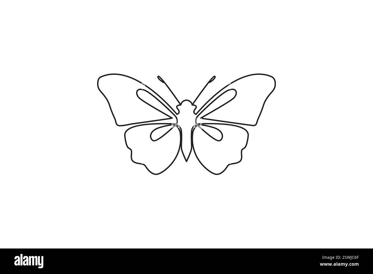 Abstract butterfly vector art isolated on white background Stock Vector ...