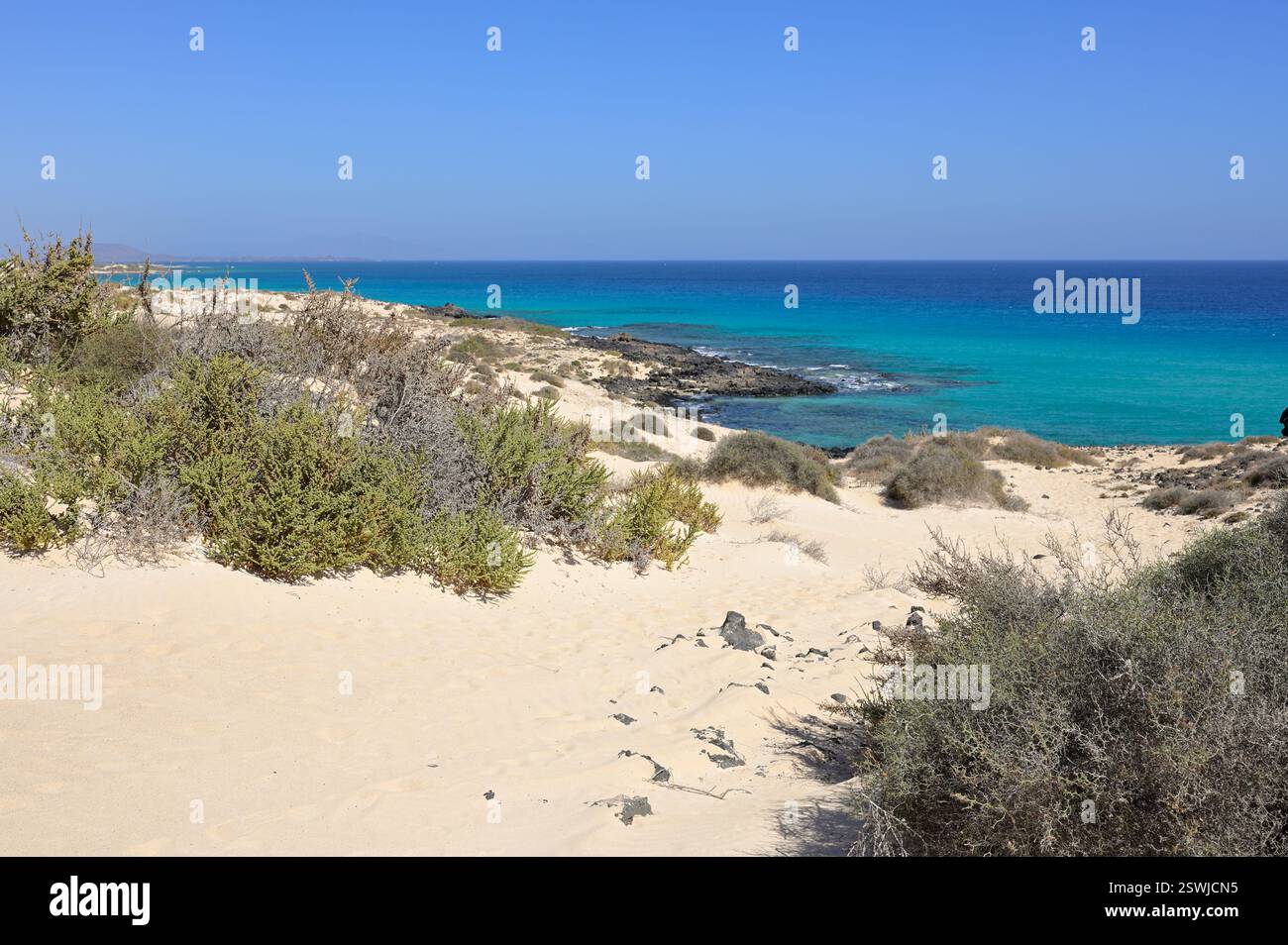 Cloudless panorama landscape of the endless sunny desert sand beach at ...