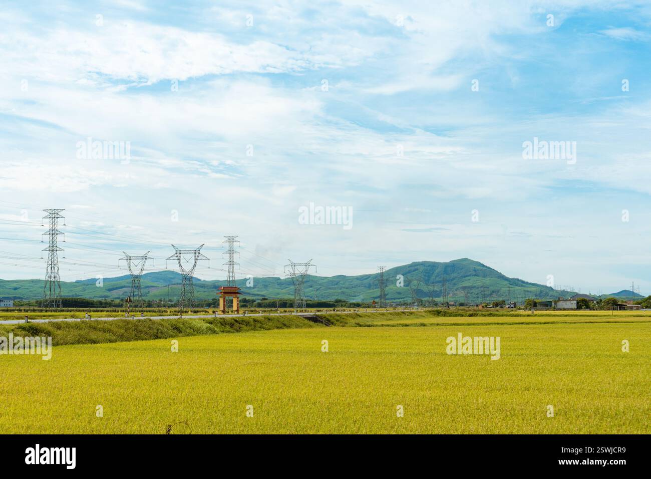 Peaceful landscape of rice fields and road Stock Photo - Alamy