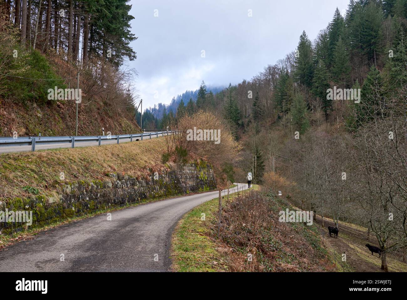 Beautiful mountain valley landscape featuring modern highway winding ...