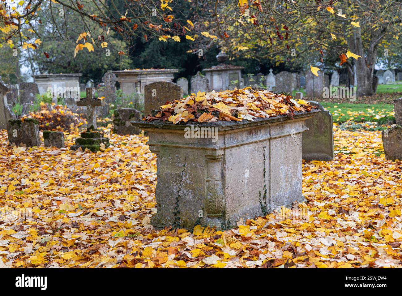 Close up of a chest tomb covered in fallen autumn leaves, Holy Cross ...