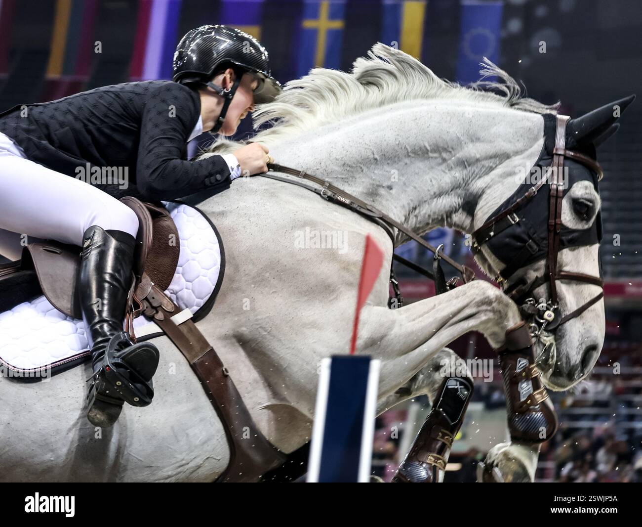Jennifer Jaritz-Gnaser of Austria on Martin AMB competes in Cavaliada ...