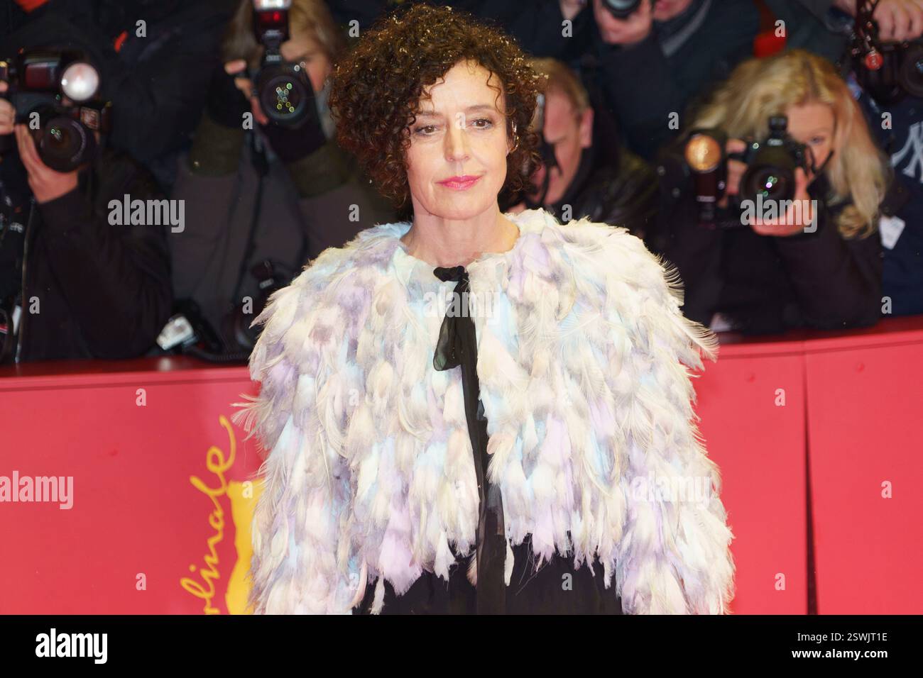 Red carpet before opening gala, Berlinale 2025 Stock Photo - Alamy