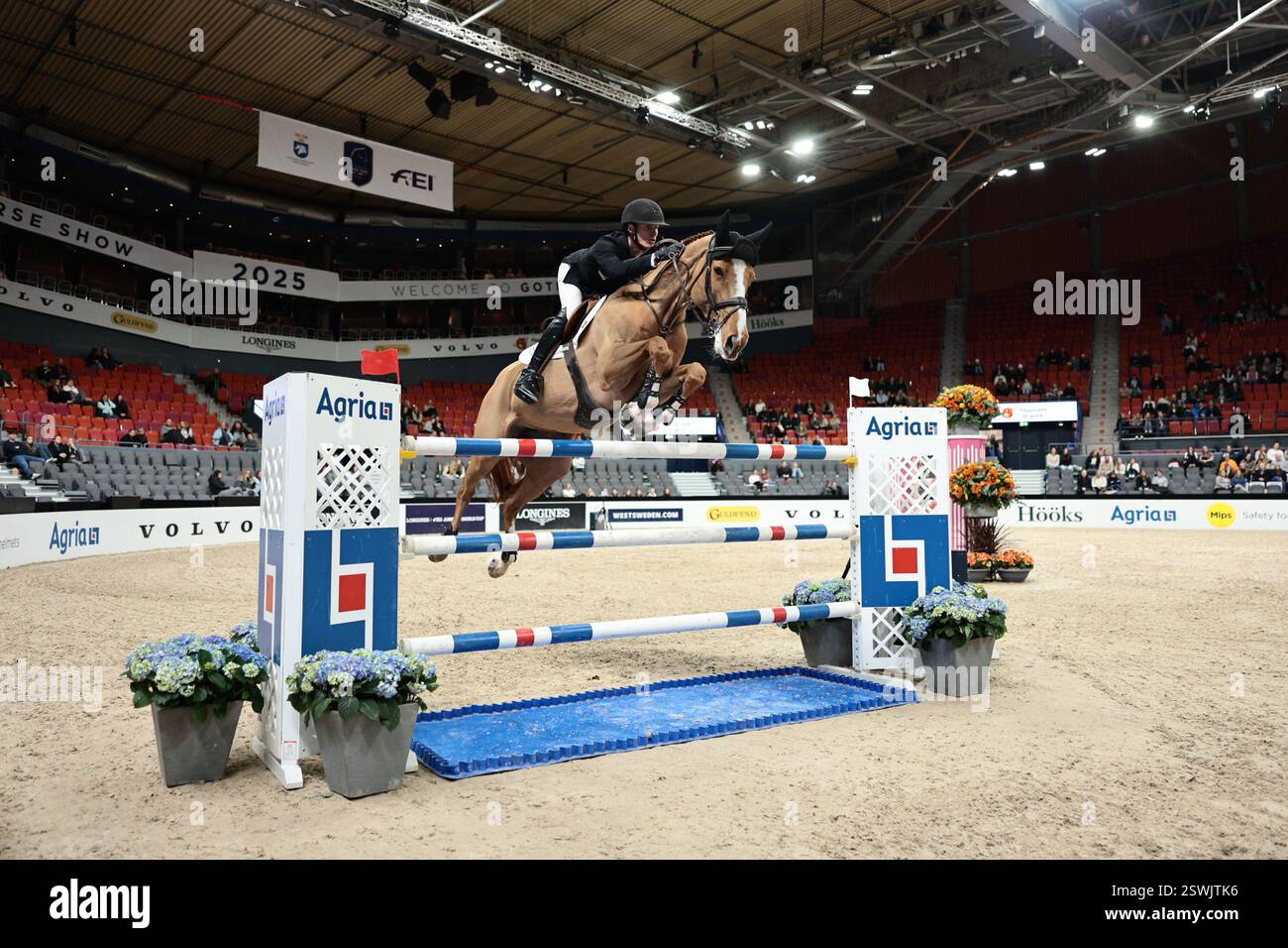 Lars Kersten of Netherlands with Dancing Queen during the Prize of AJ ...