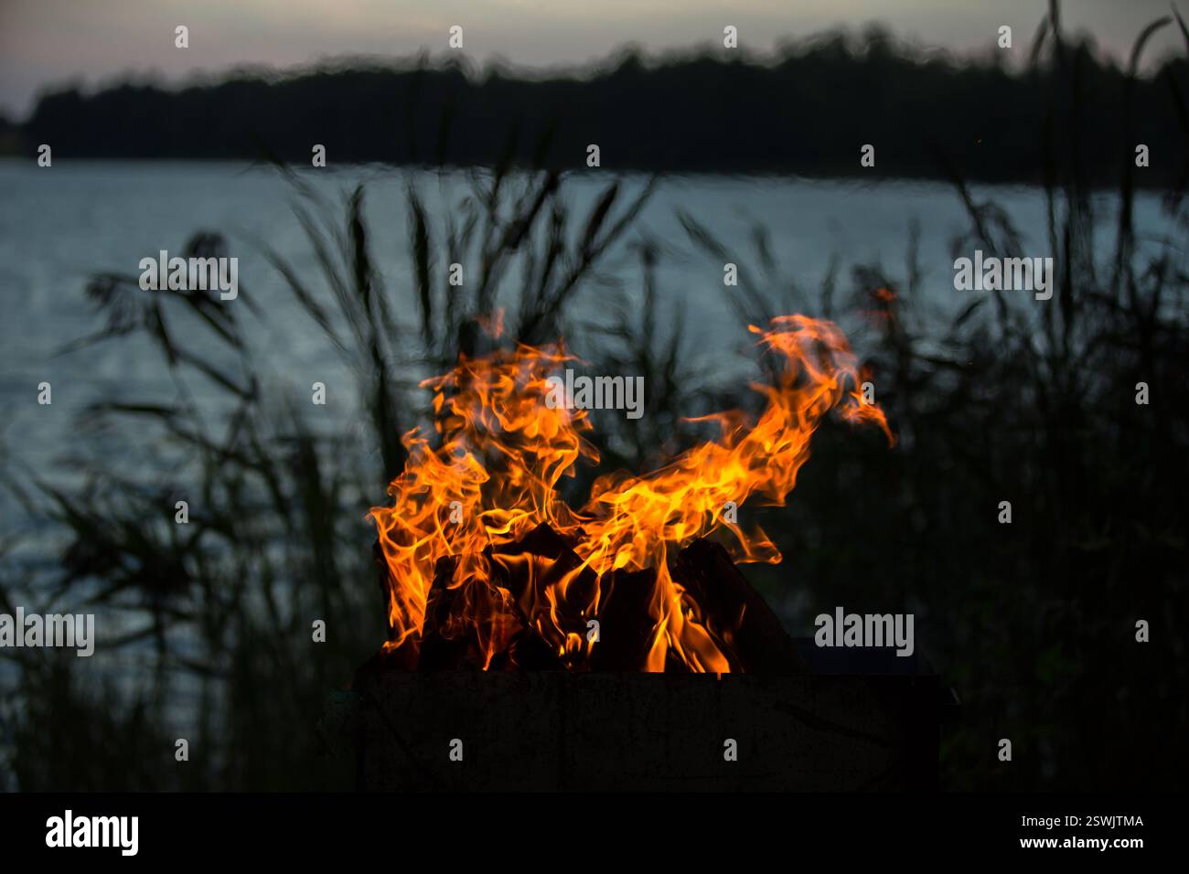 Fire rooster hi-res stock photography and images - Alamy