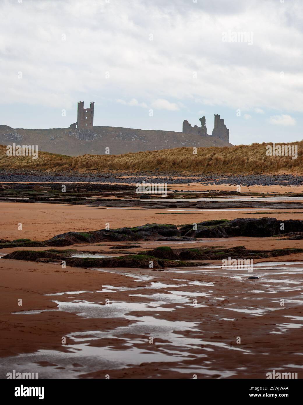Beach at Embleton Bay with Dunstanburgh Castle in Northumberland stock ...