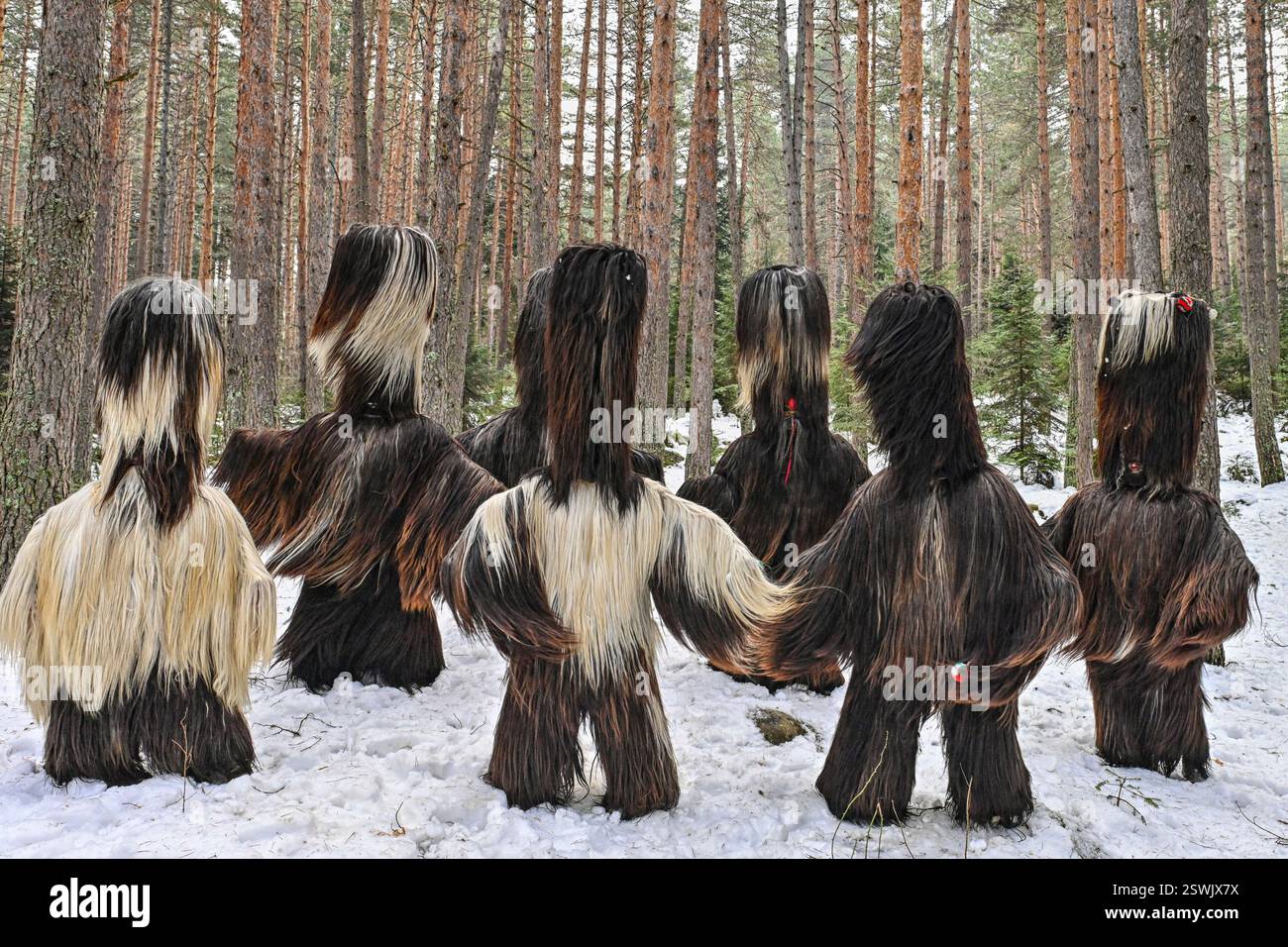 Traditional Kukeri performers dressed in thick long hair goat fur ...
