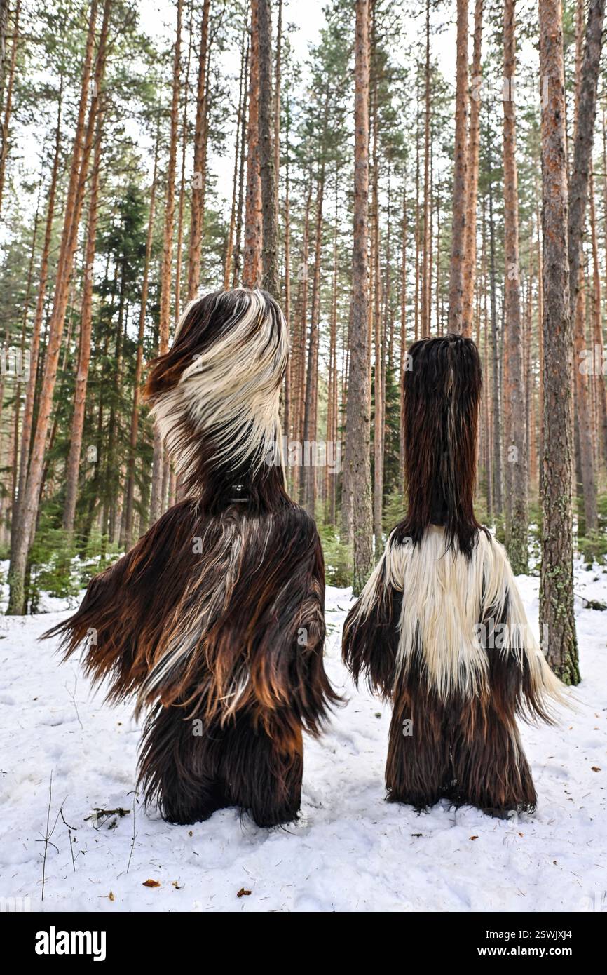 Traditional Kukeri performers dressed in thick long hair goat fur ...
