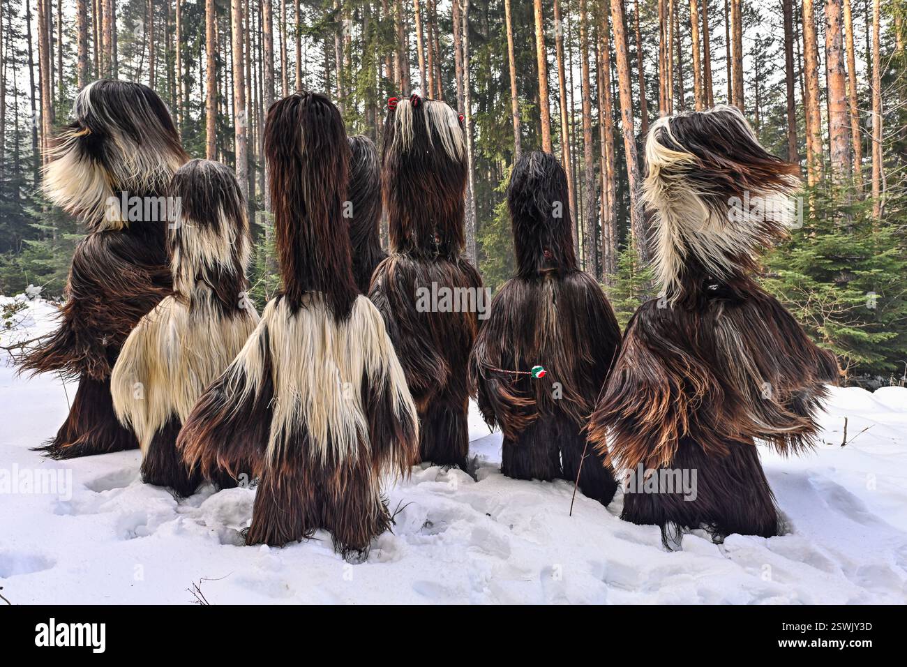Traditional Kukeri performers dressed in thick long hair goat fur ...