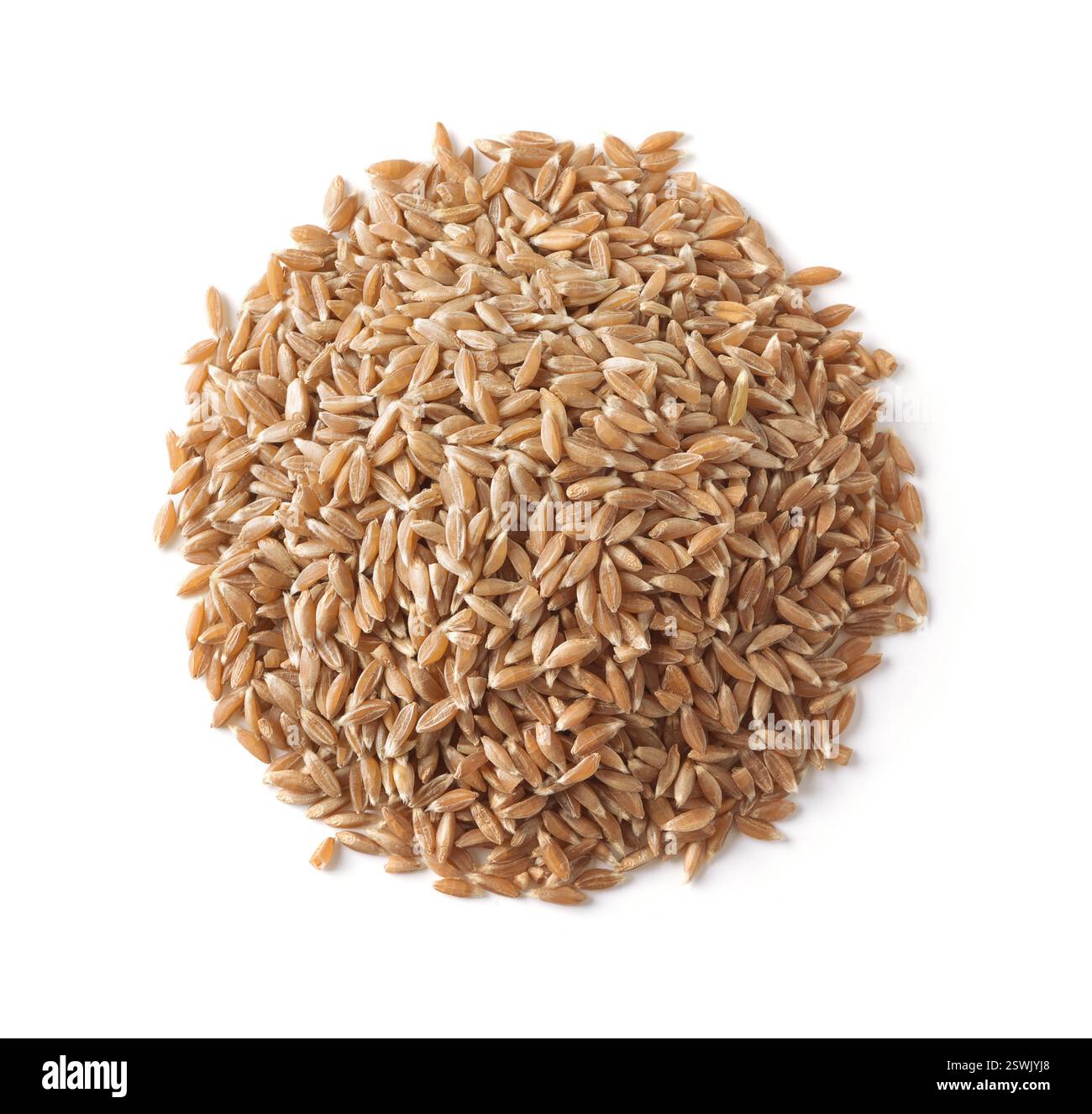 Top view of uncooked spelt wheat grains isolated on white Stock Photo ...