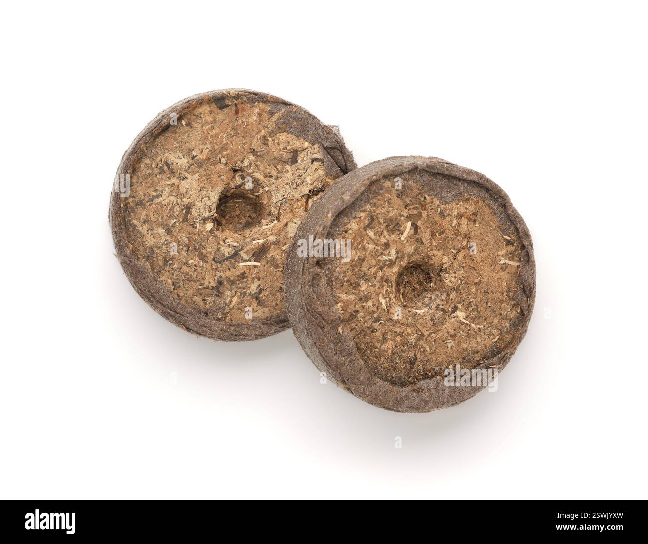 Top view of two seed starting peat pellets isolated on white Stock ...