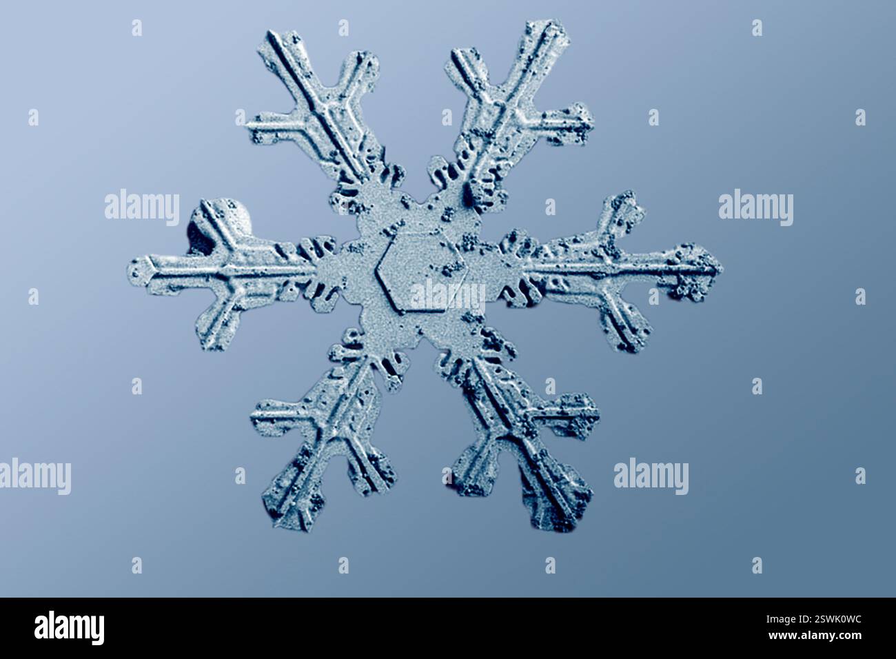 Snowflake in the form of an ordinary hexagonal dendrite. Image was ...