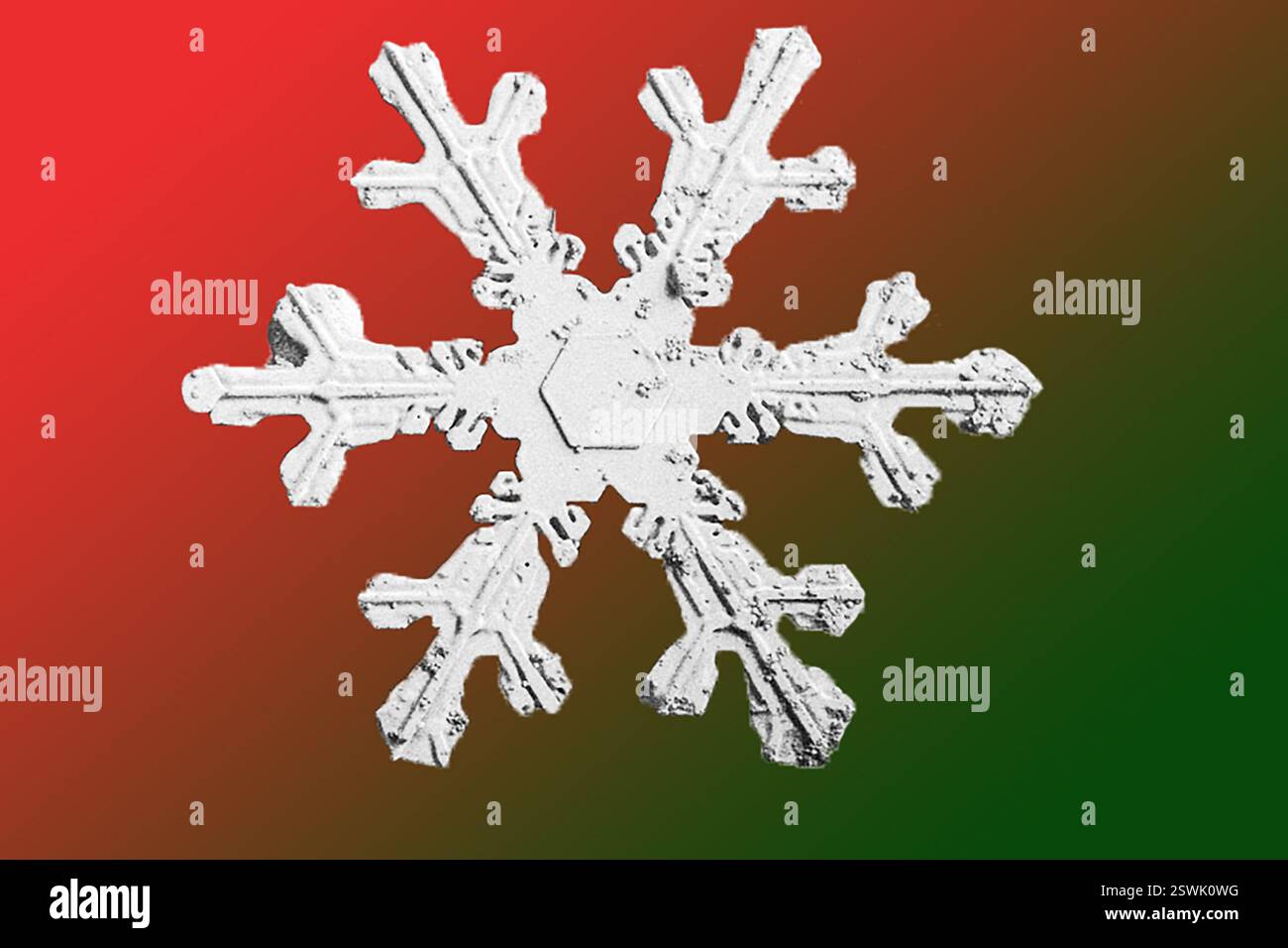 Snowflake in the form of an ordinary hexagonal dendrite. Image was ...