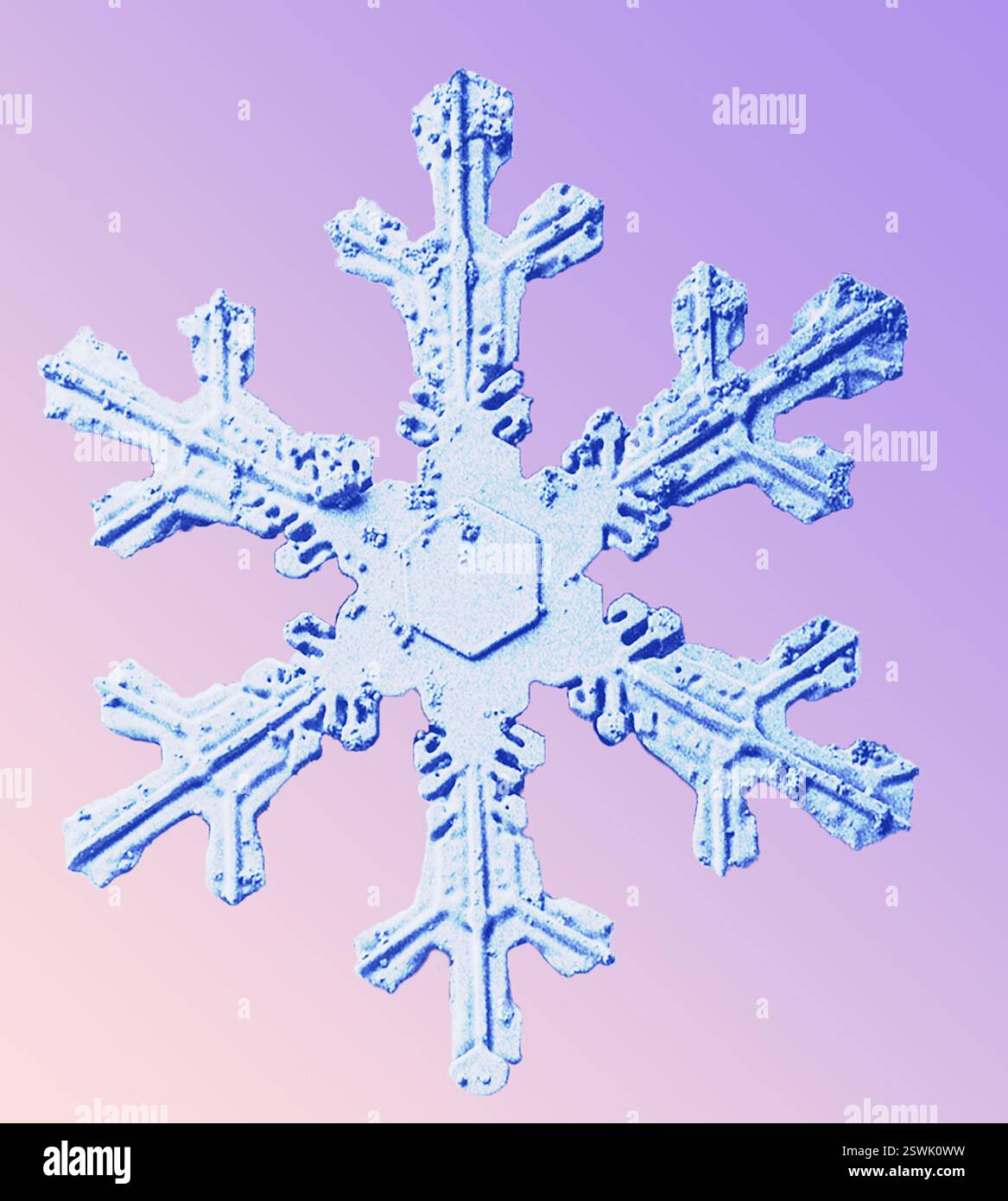 Typical hexagonal snowflake. Image was obtained using a Low Temperature ...