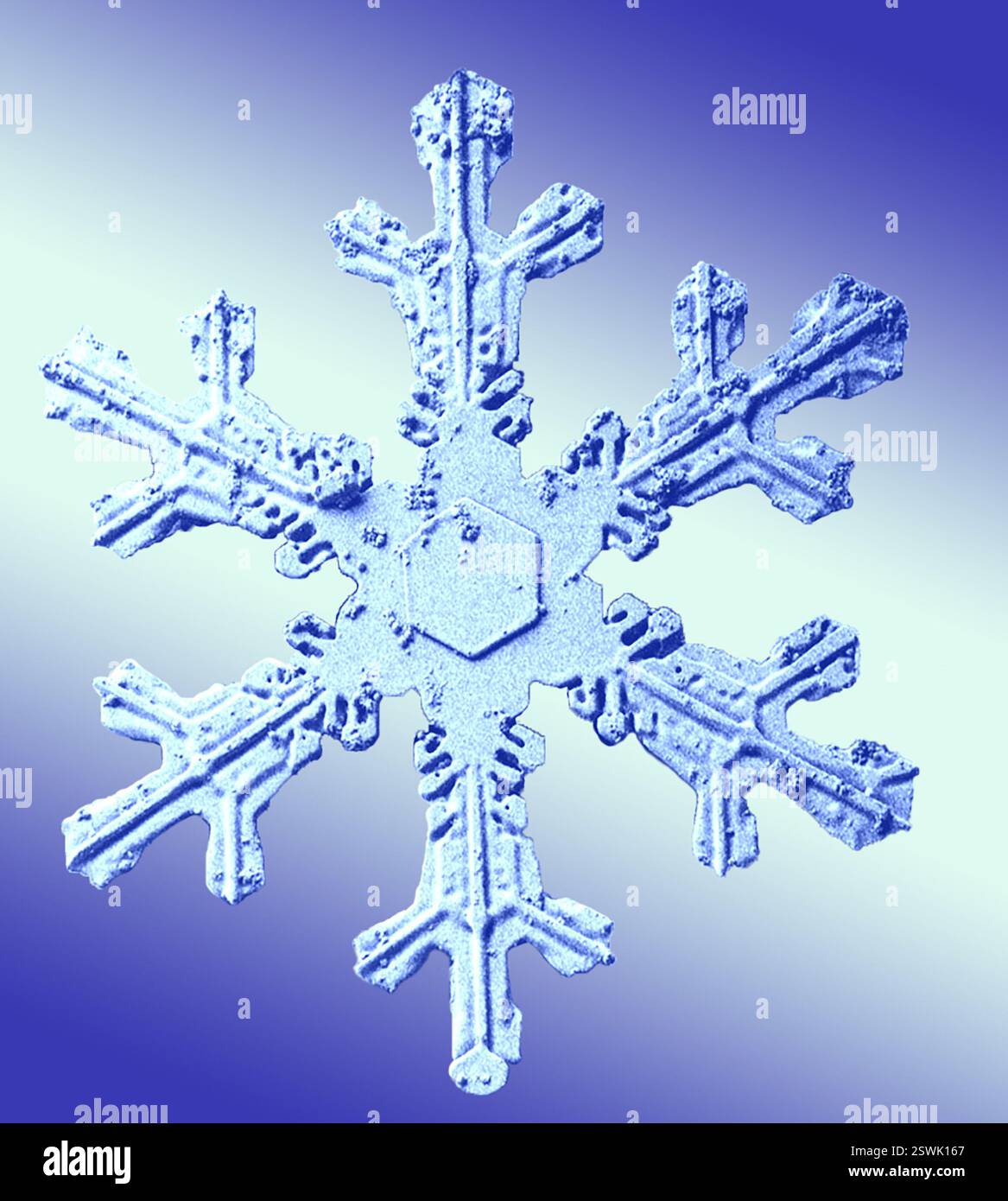 Typical hexagonal snowflake. Image was obtained using a Low Temperature ...
