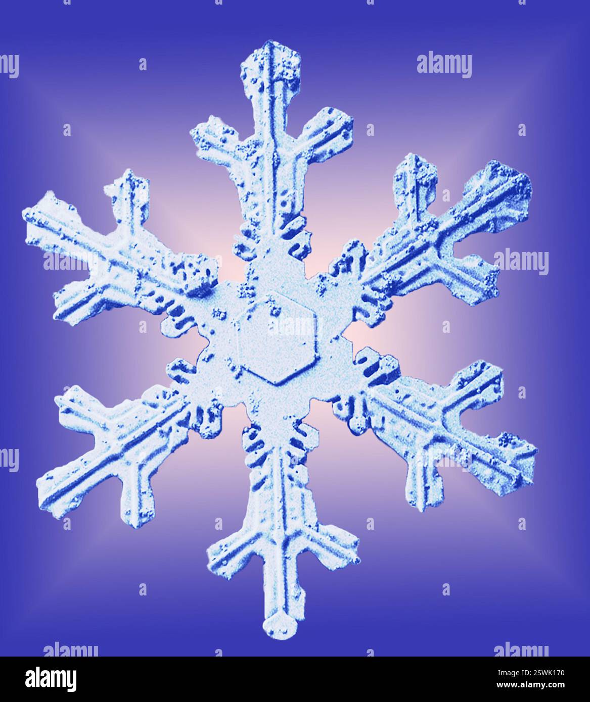 Typical hexagonal snowflake. Image was obtained using a Low Temperature ...