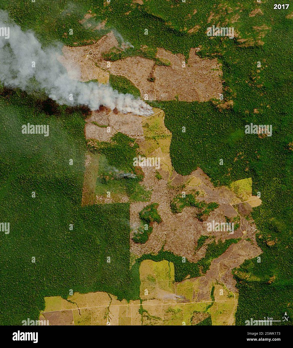 Satellite image of large-scale deforestation in a ranching area in a ...