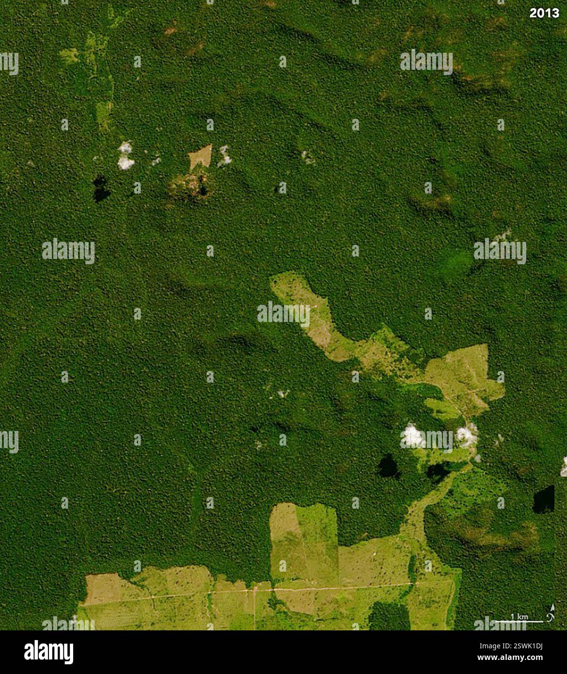 Satellite image of large-scale deforestation in a ranching area in a ...