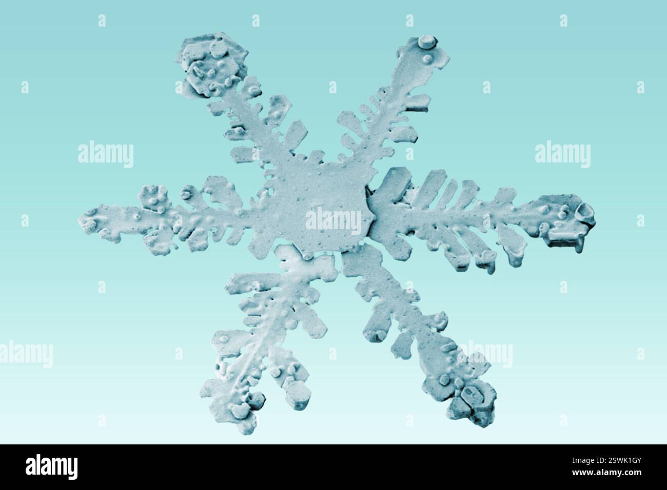 Snowflake in the form of an ordinary hexagonal dendrite. Image was ...