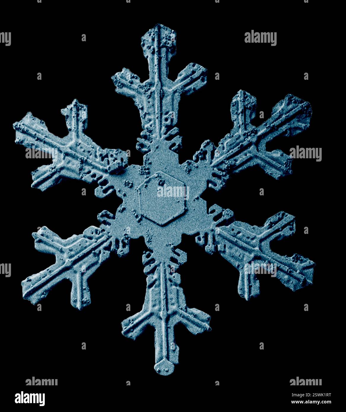 Typical hexagonal snowflake. Image was obtained using a Low Temperature Scanning Electron ...
