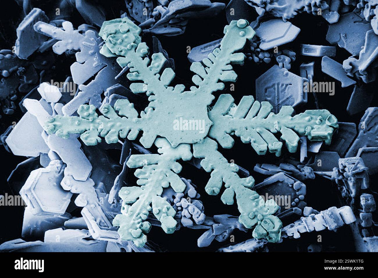 Snowflake in the form of an ordinary hexagonal dendrite. Image was ...
