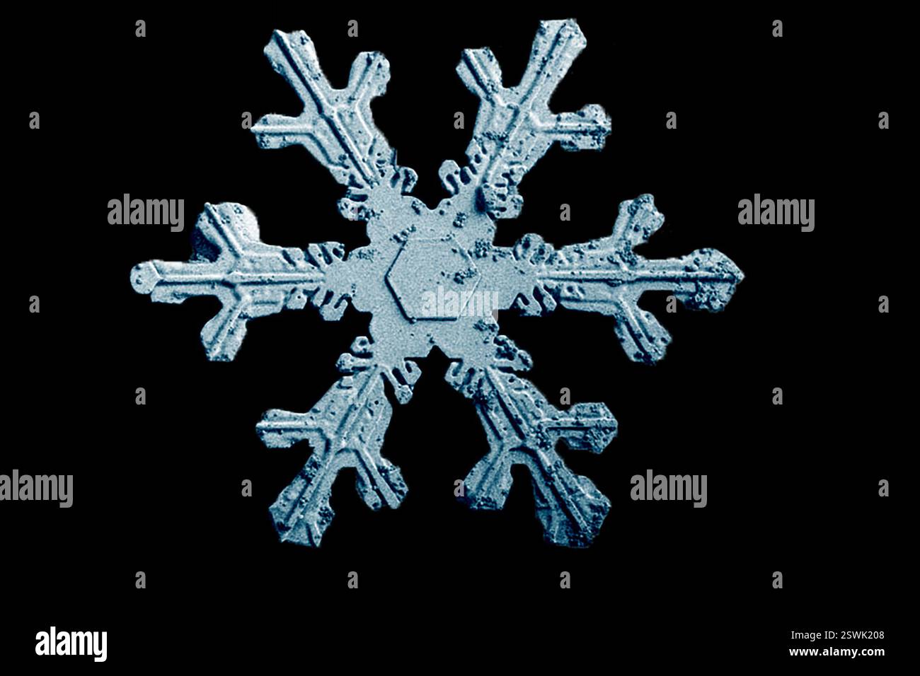 Snowflake in the form of an ordinary hexagonal dendrite. Image was ...