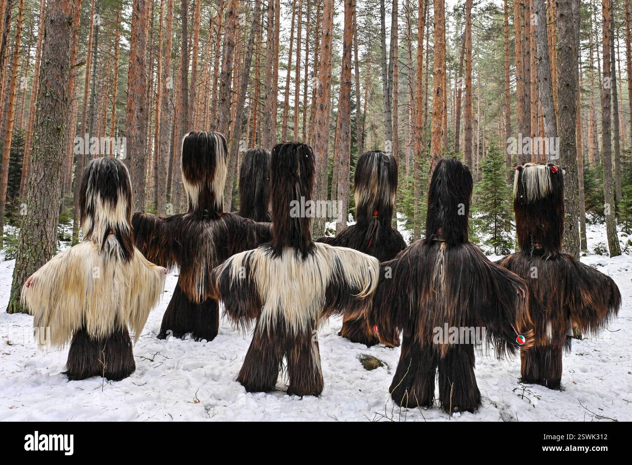 Traditional Kukeri performers dressed in thick long hair goat fur ...