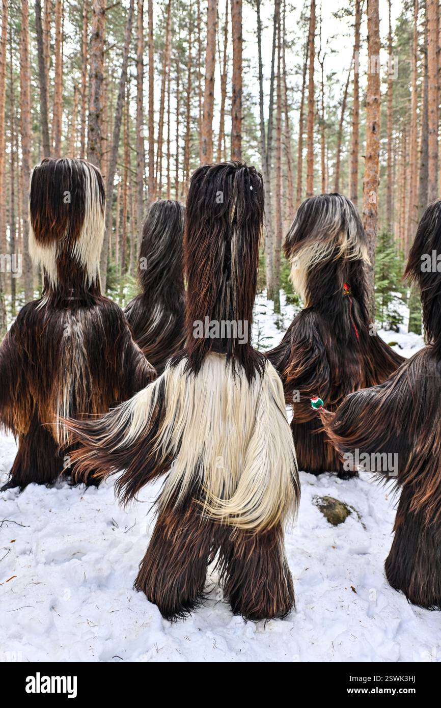 Traditional Kukeri performers dressed in thick long hair goat fur ...
