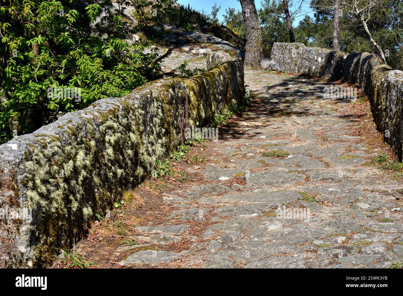 Granite bridge to the forest with large lichens clinging to the rock ...