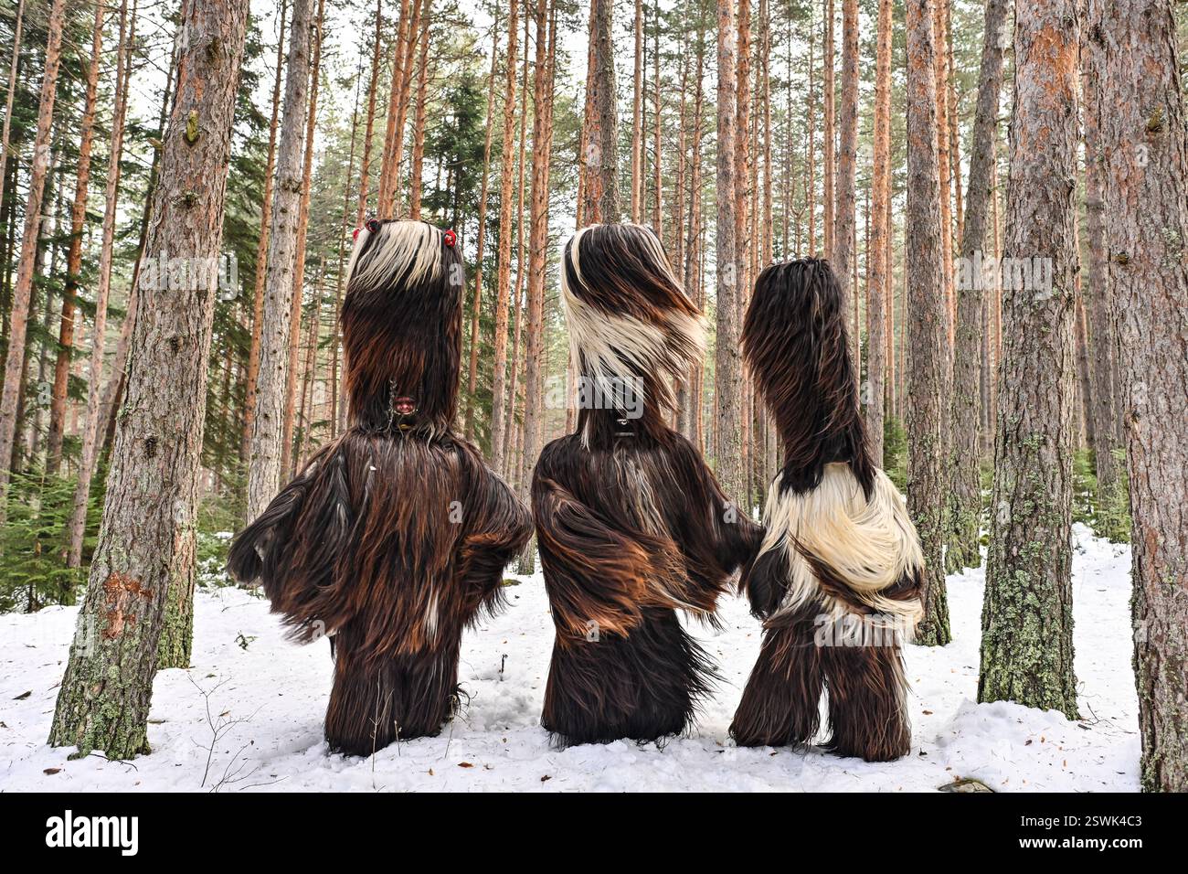 Traditional Kukeri performers dressed in thick long hair goat fur ...