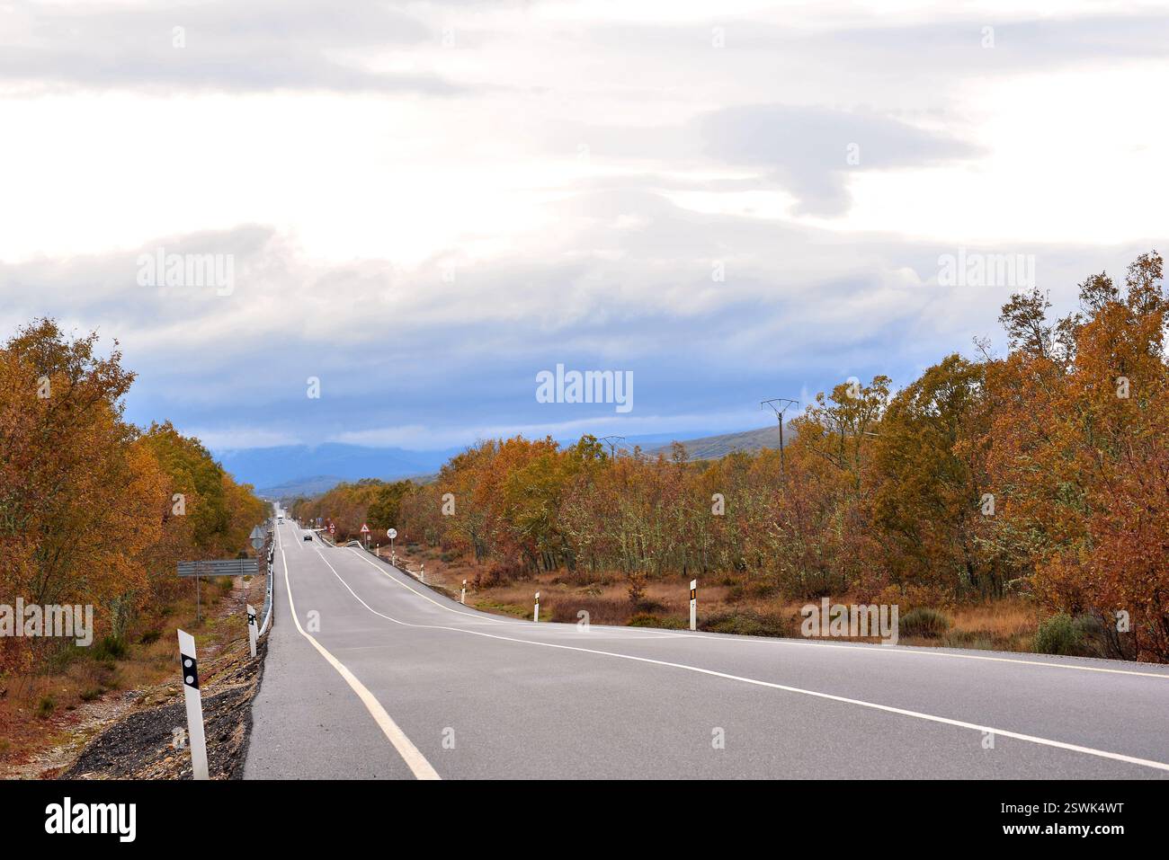 Autumn landscape with a long undulating road Stock Photo - Alamy